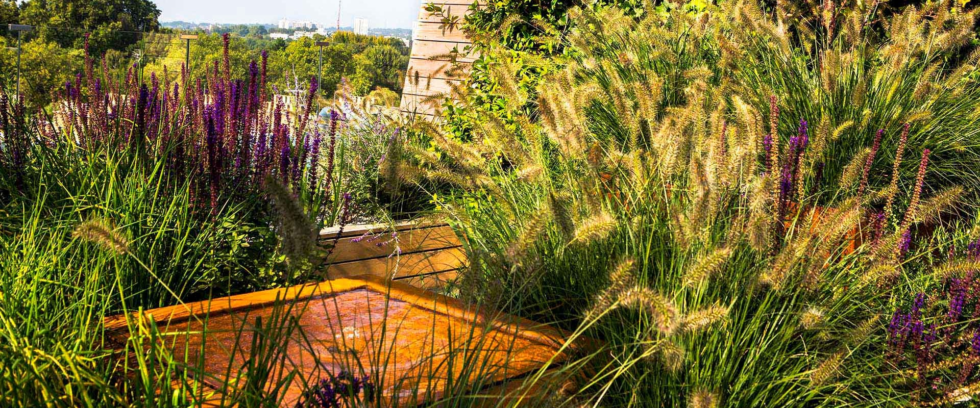 The Art of Landscaping: Understanding the Difference Between Landscape ...